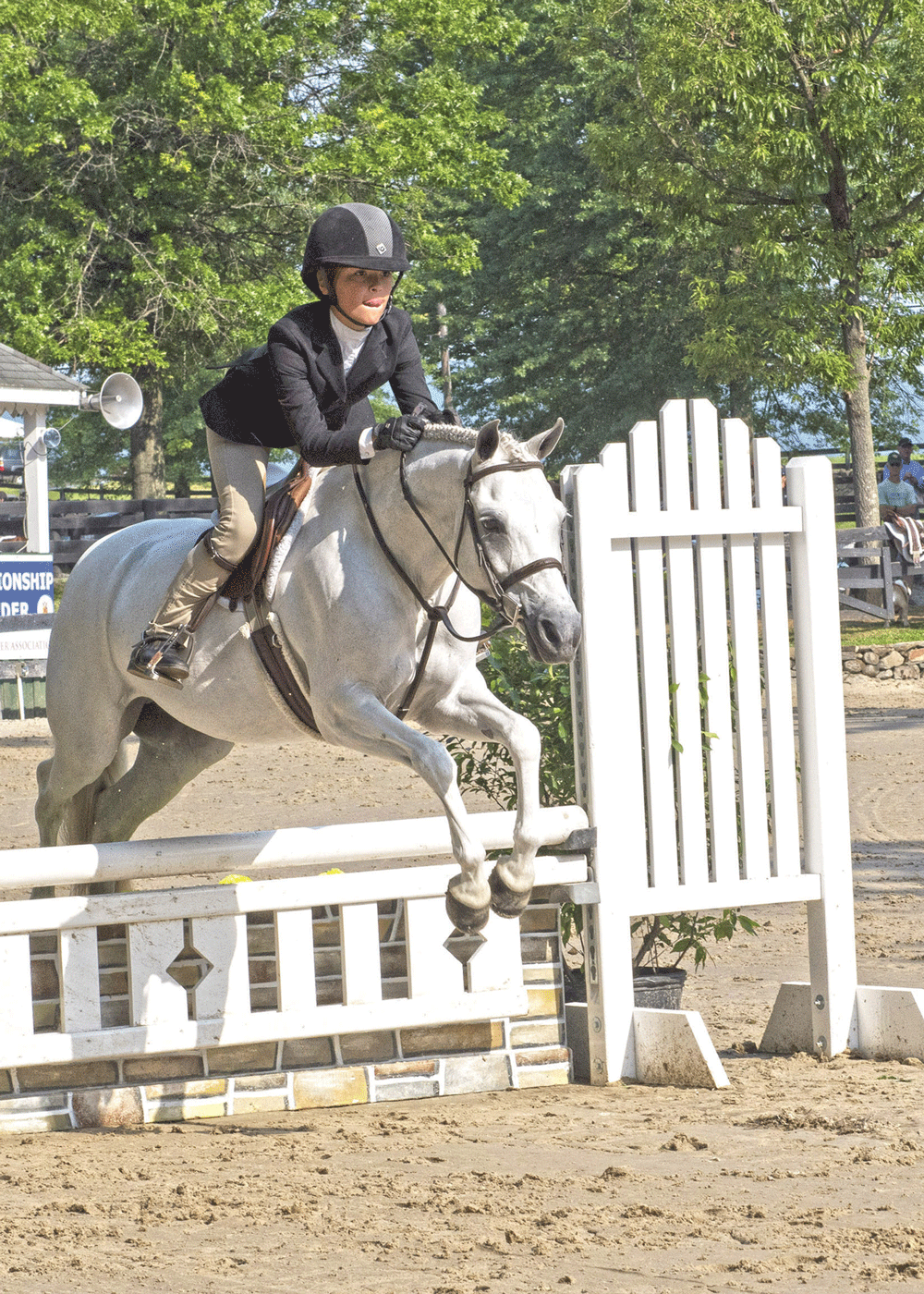 Maddie Tosh on Dr. Betsee Parker’s Love Me Tender Reserve Champion for ...