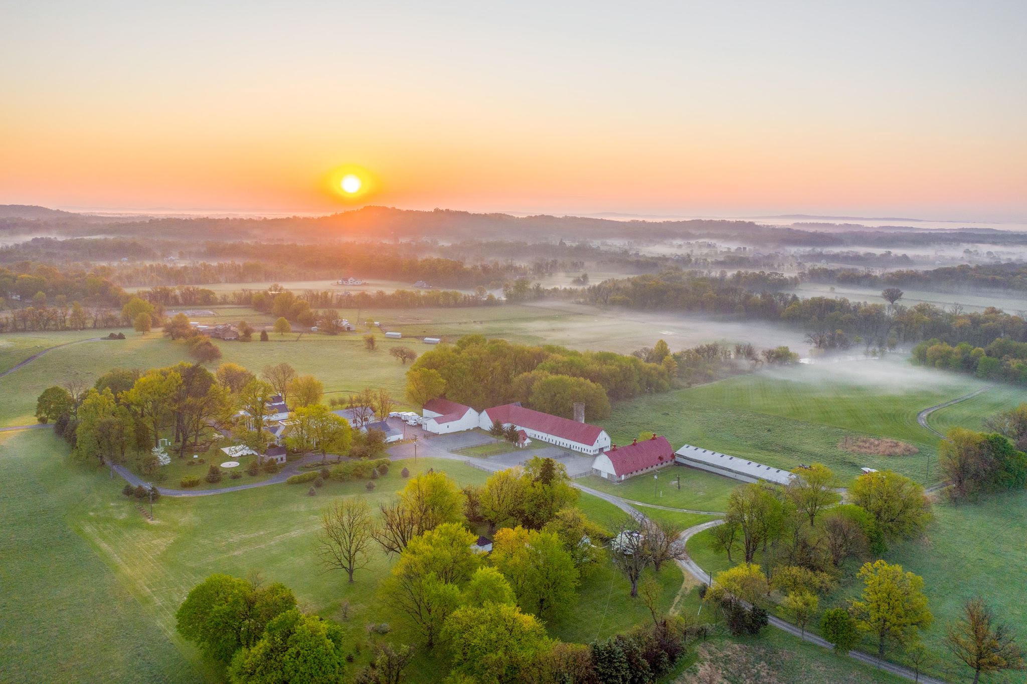 New, Noteworthy, and Need-to-visit: Hunt Country Wineries and Vineyards ...