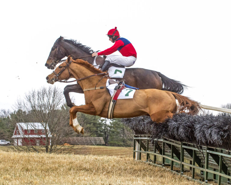 Spring Racing is Right Around the Corner – Middleburg Life