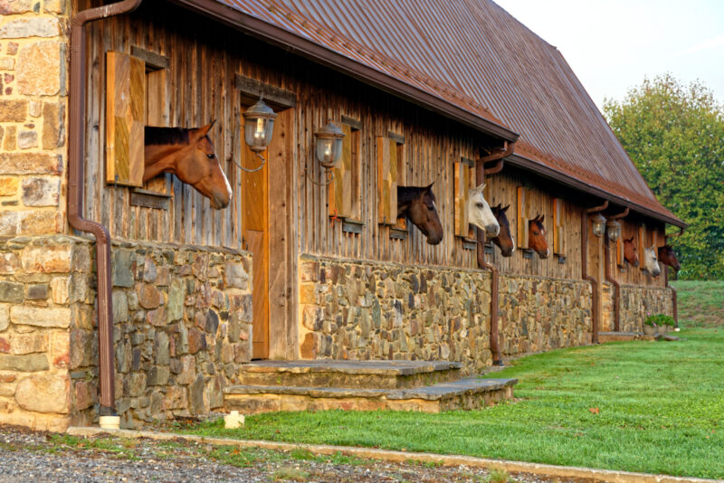 Littleton Farm – Middleburg Life