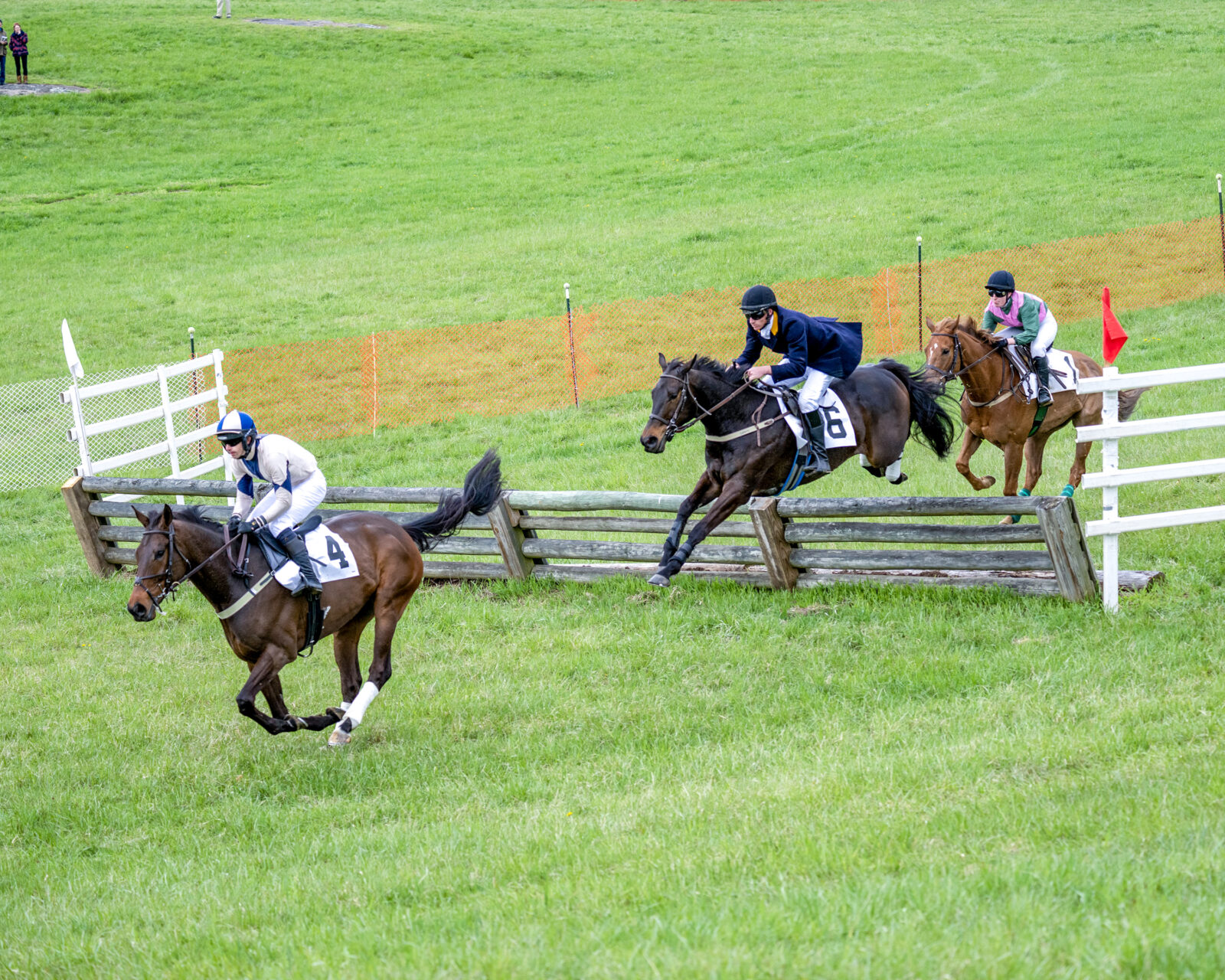 Meet Your Neighbor: Sam Cockburn Talks Horses, Family, & the Future ...