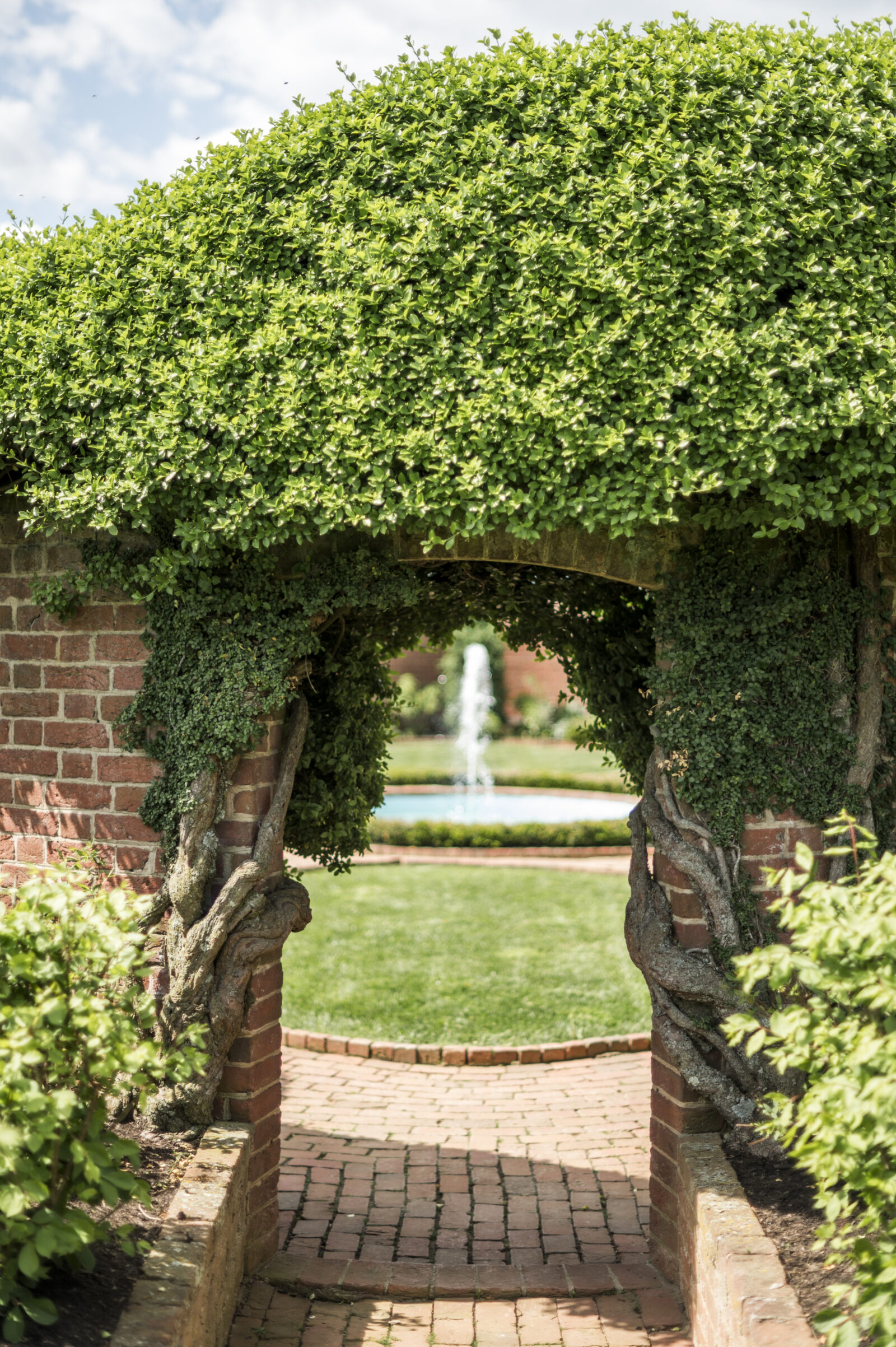 English Gardens Take Root in Hunt Country – Middleburg Life