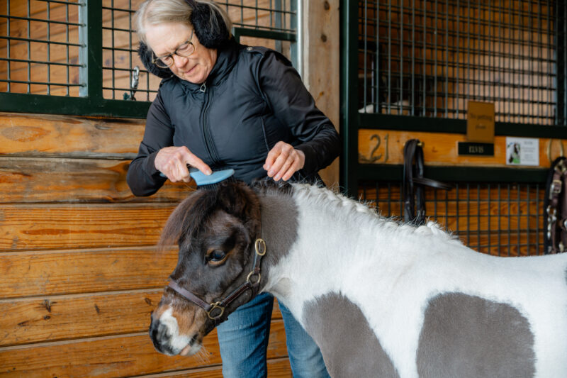 Keeping in Shape with Cupcake: The Salamander Equestrian Center Team ...