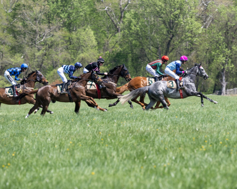 2026 Spring Race Calendar – Middleburg Life